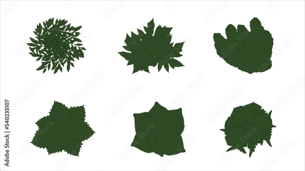 Architecture sketch green trees top view vector, Drawing trees for ...