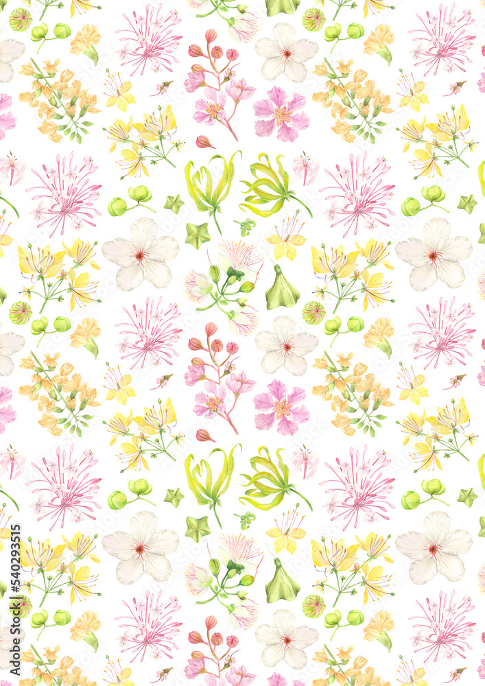 A4 Wallpaper Philippine flora flowering trees pattern Stock ...