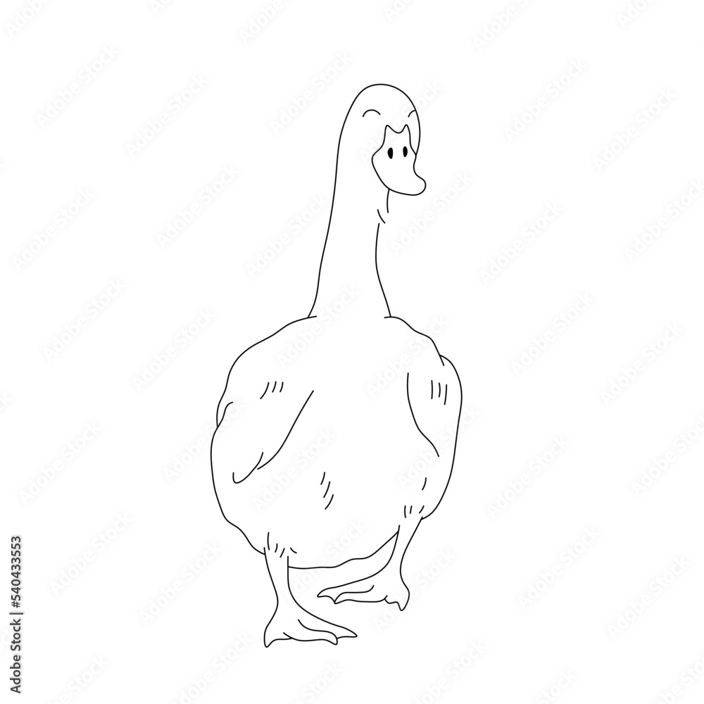Vector isolated cute cartoon funny walking goose front view colorless ...