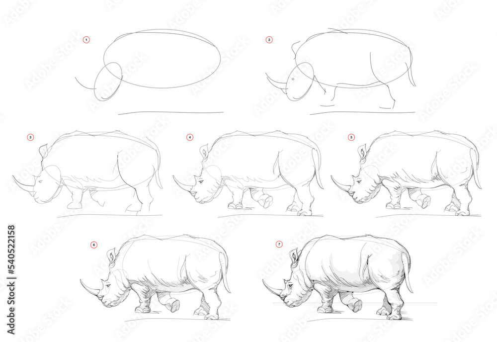 Page shows how to learn to draw sketch of rhinoceros. Creation step by ...