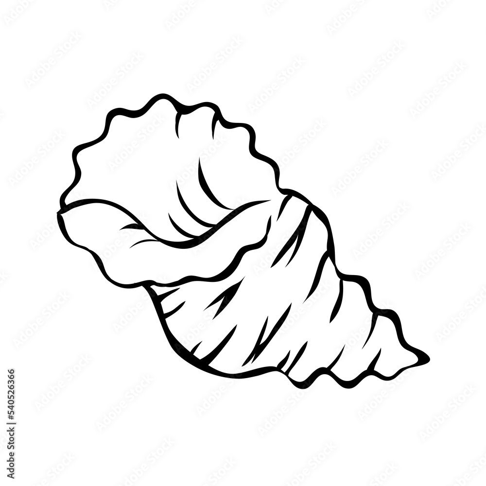 Sea shell. Marine underwater twisted shell. Undersea mollusc ...