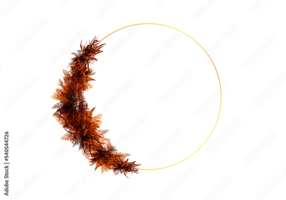 Flower foliage floral circle overlays, golden ring, backdrop overlays ...