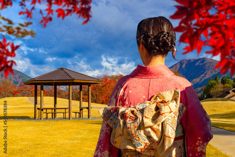 Geisha in Japan. Woman in traditional Japanese dress. Geisha girl in ...