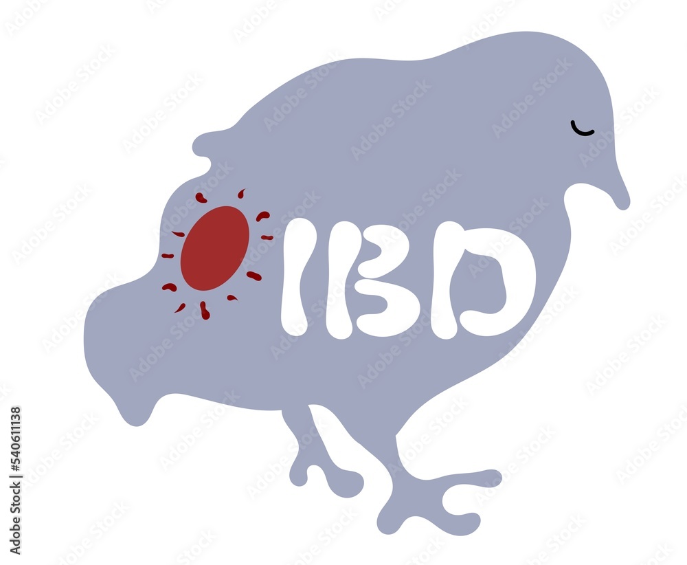 IBDV, CONCEPTUAL IMAGE. Infectious Bursal Disease, Gumboro in Poultry ...