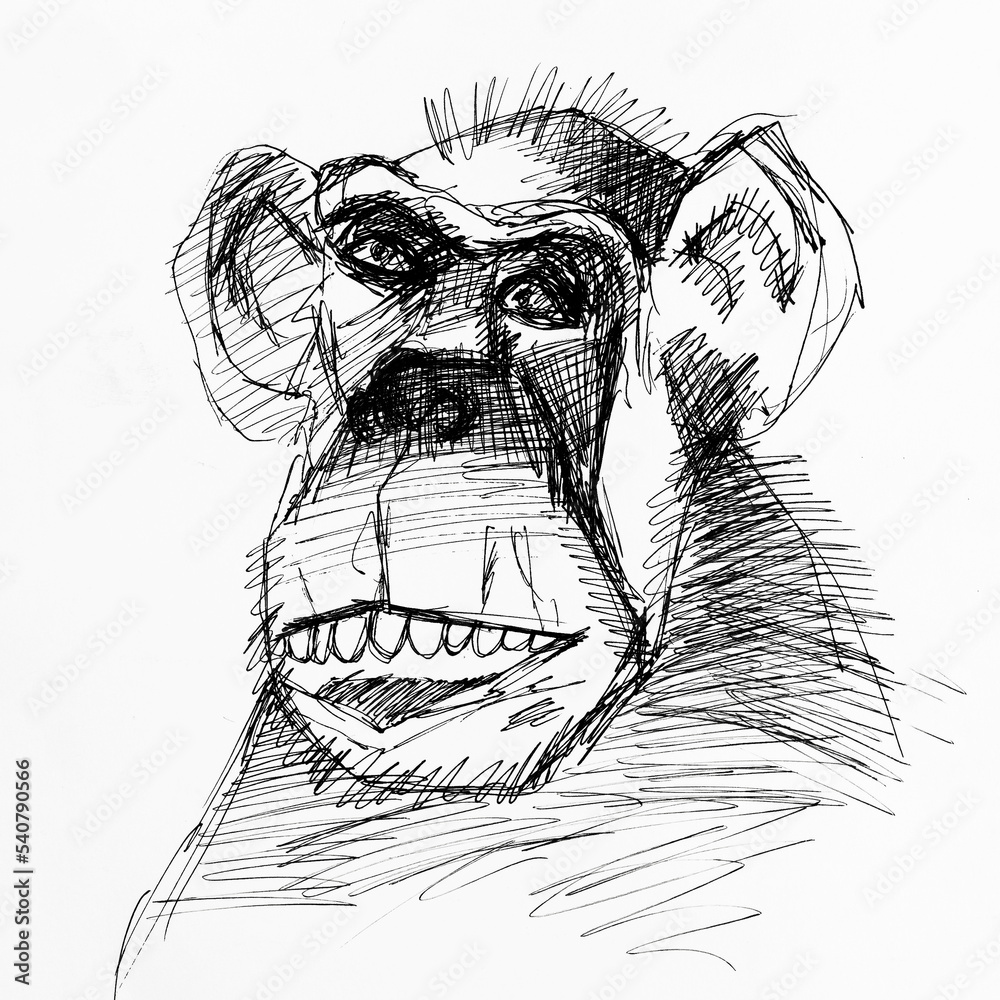 realistic monkey face drawing