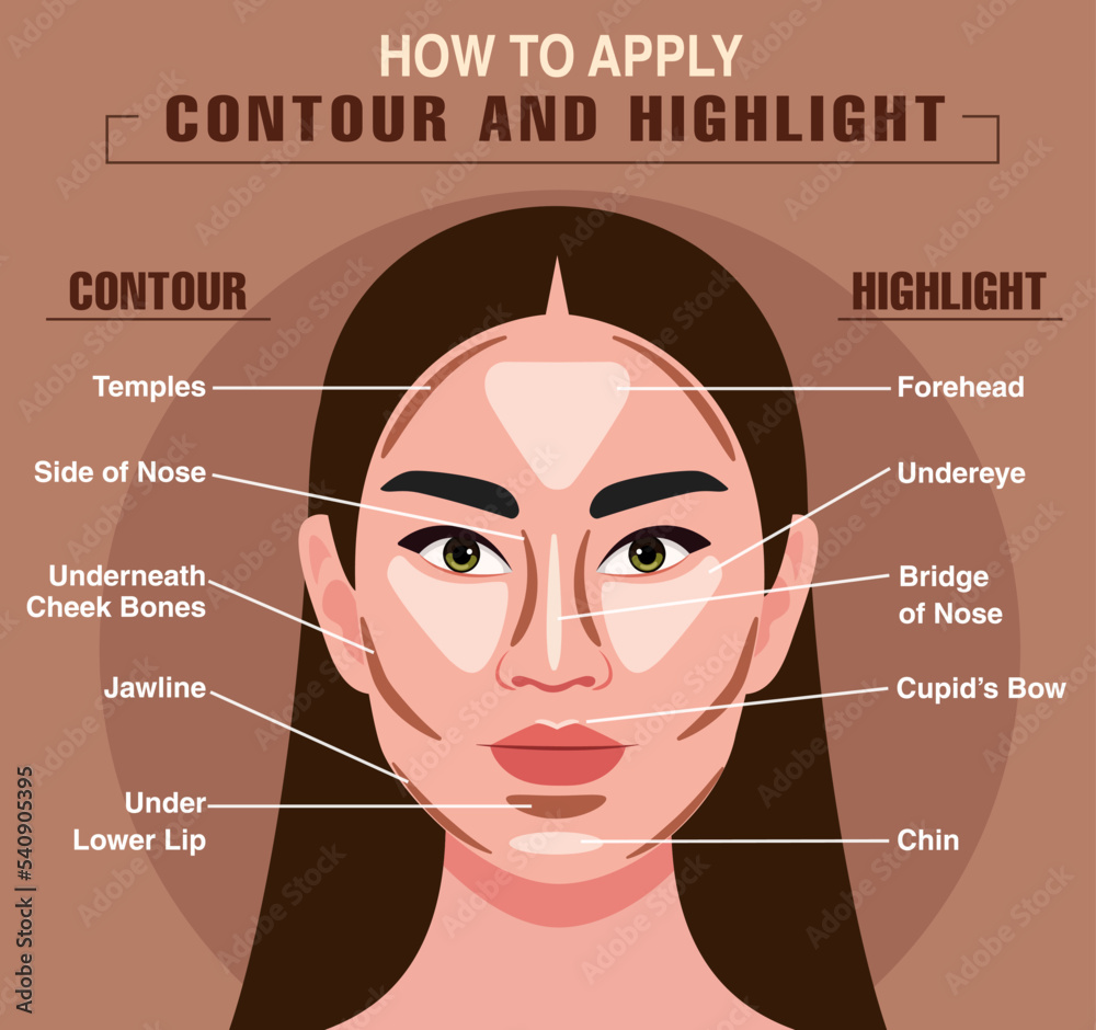 How to apply your contour and highlighter way infographic chart. Vector ...