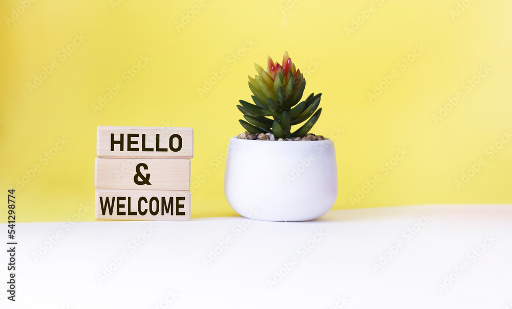Hello and welcome symbol. Concept words Hello and welcome on wooden ...