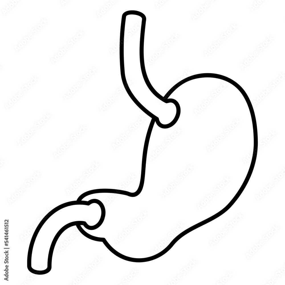 Human stomach Concept, Food Digestion System vector outline icon Design ...