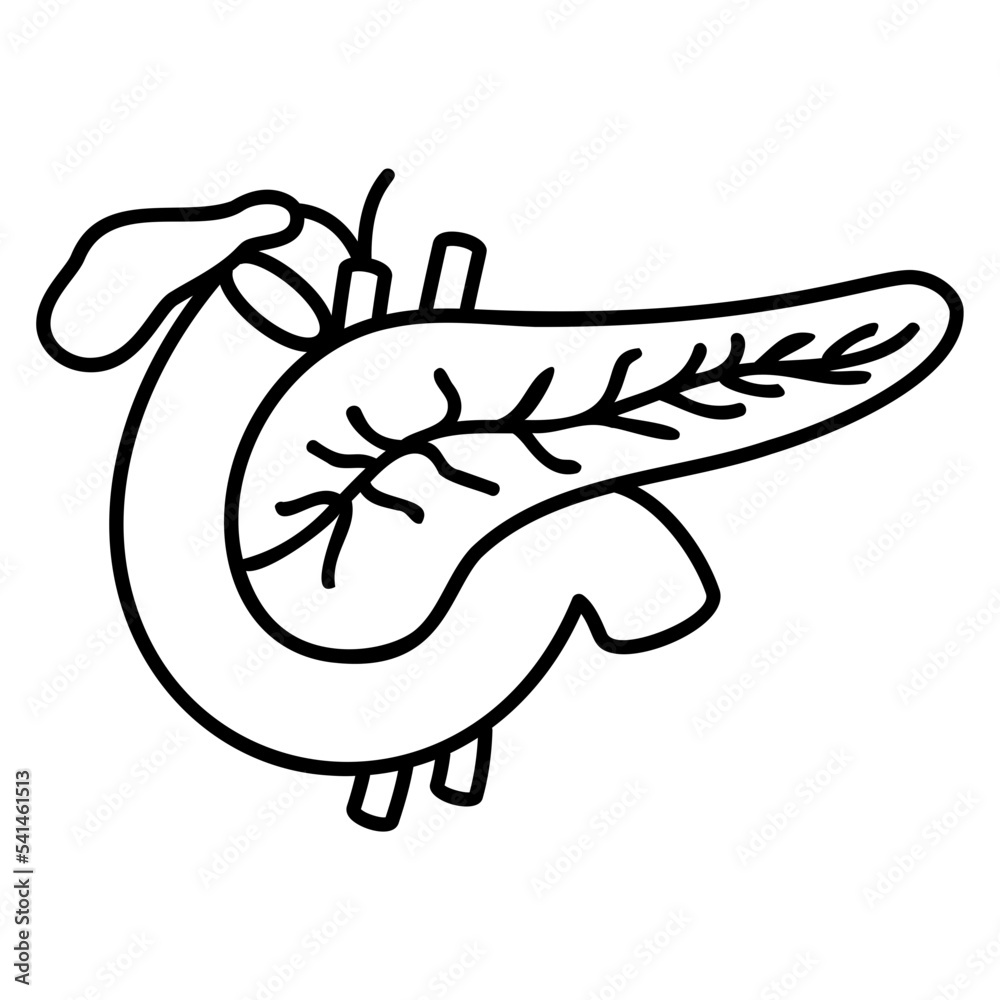 Human Pancreas Concept, Alimentary canal vector outline icon Design ...