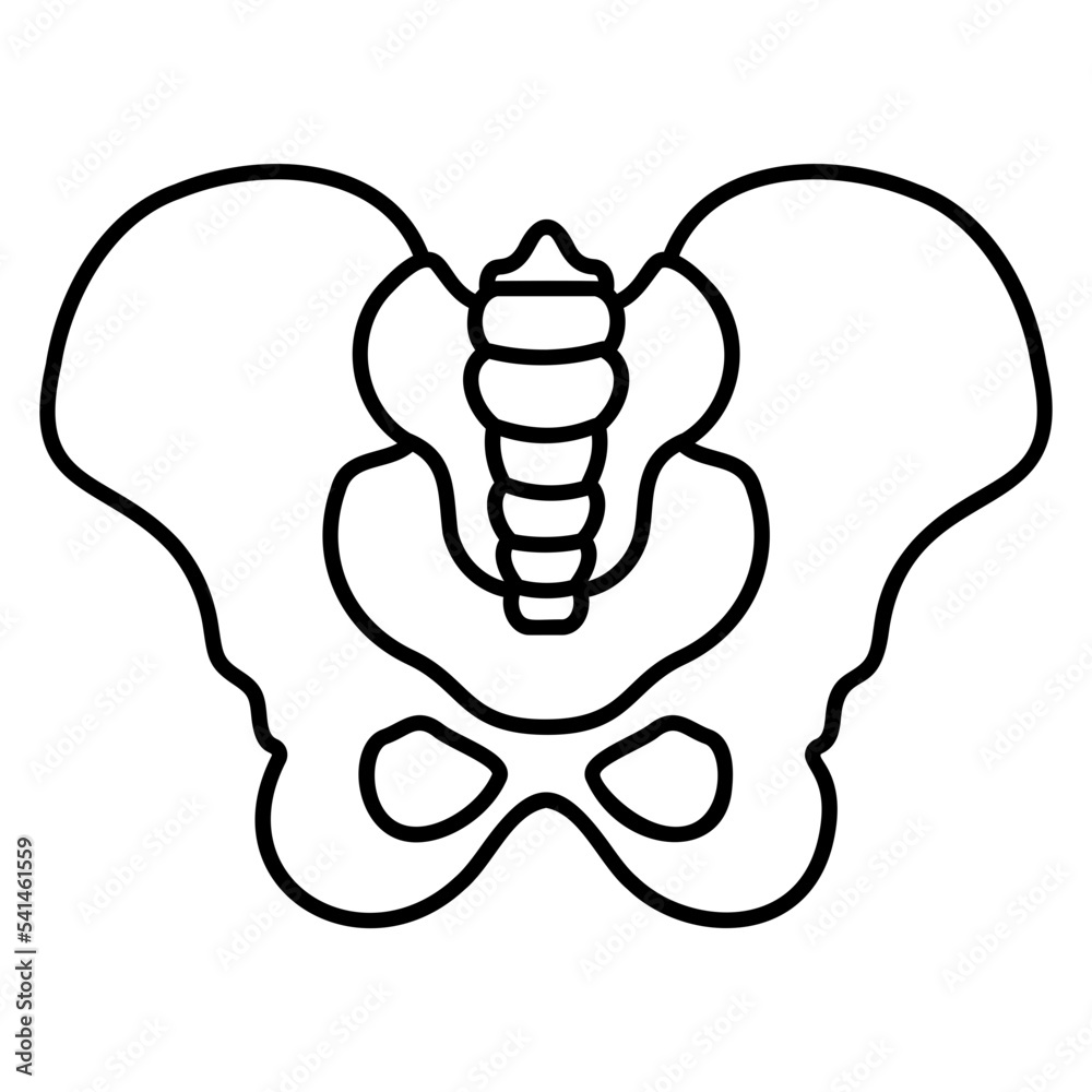 Pelvis and Hip Bone Joint Concept, Acetabulum vector outline icon ...