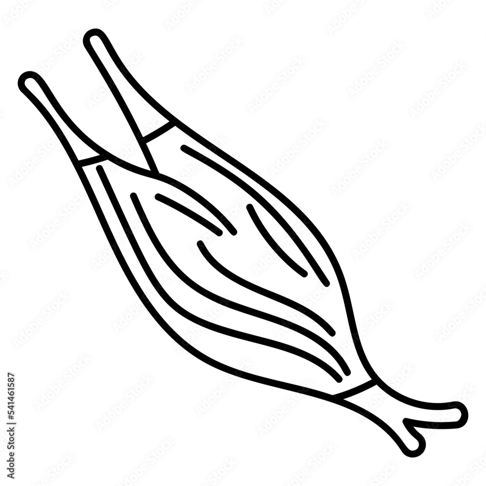 Skeletal muscle tissue Concept, muscle cells vector outline icon Design ...