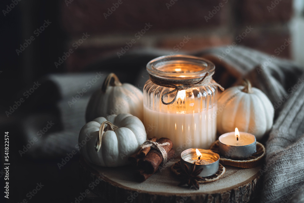 Autumn home composition with aromatic candle, dry citrus, cinnamon ...