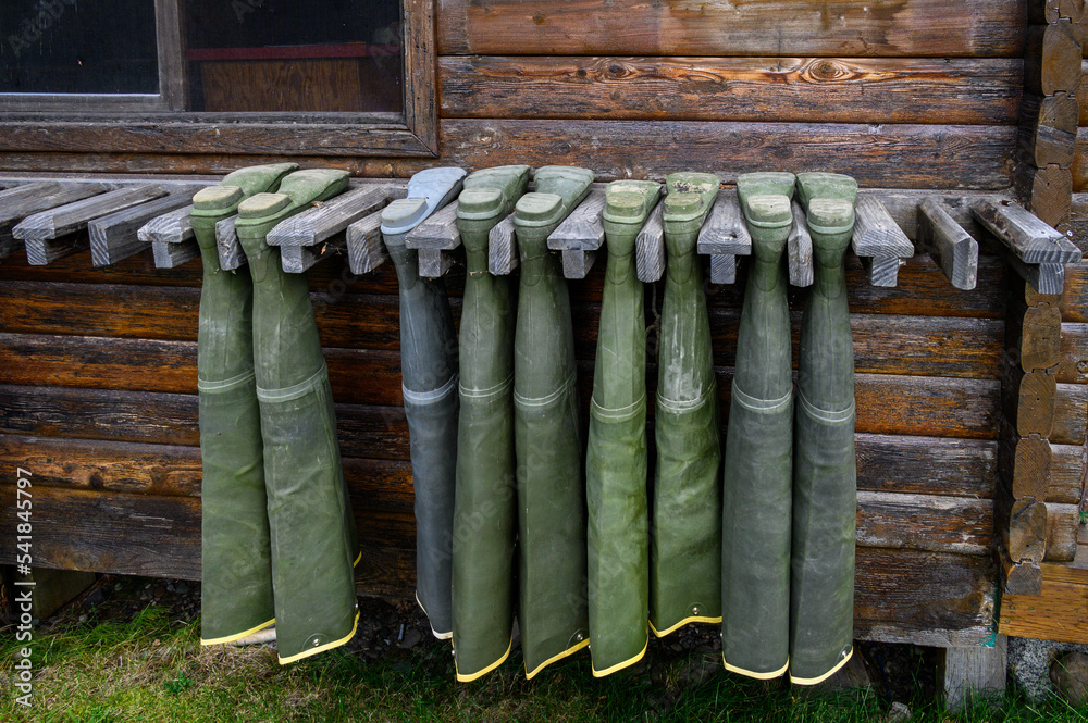 Collection of hip waders hanging up drying outside on a rustic wood ...