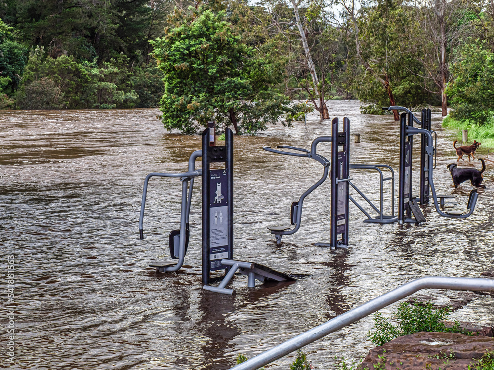 Stock-Foto „Exercise In The River“ | Adobe Stock