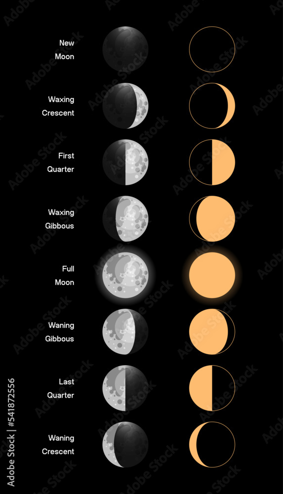 Moon phases scheme sphere shadow cycle astronomy icon set. Vector ...