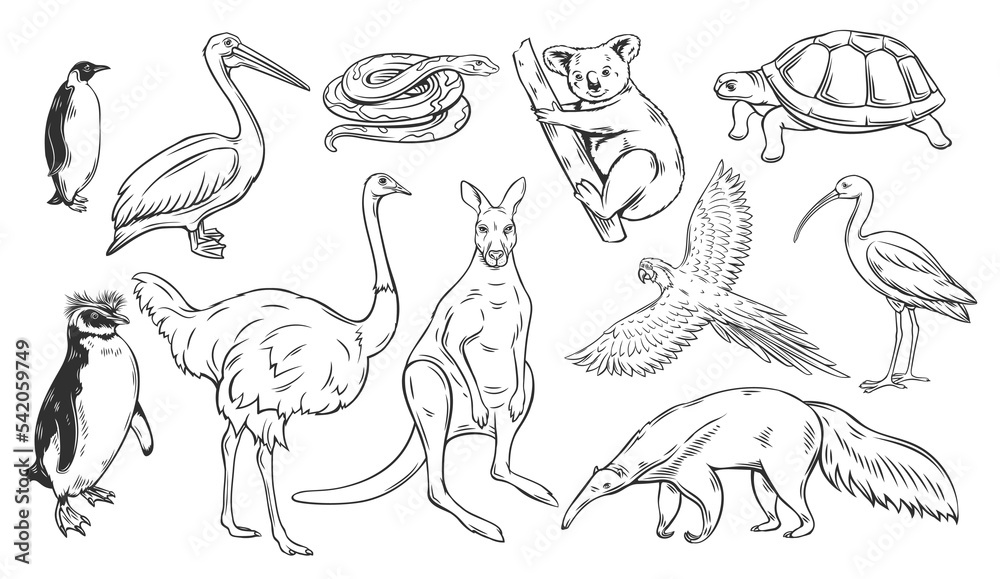 Australian animals outline icons set vector illustration. Line hand ...
