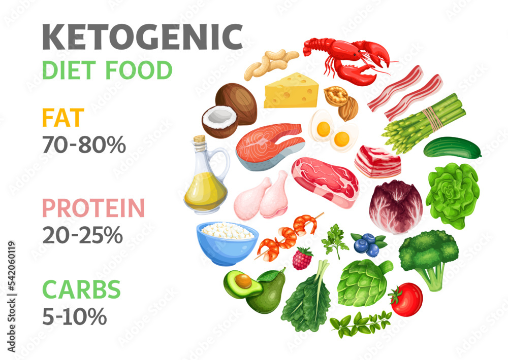 Keto diet food design template vector illustration. Cartoon healthy ...