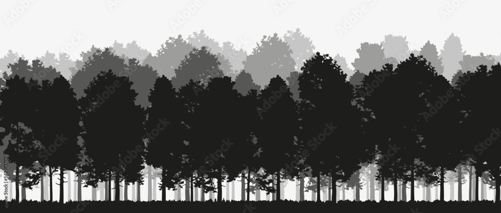 Spruce treeline silhouette landscape. Pine tree silhouette landscape ...