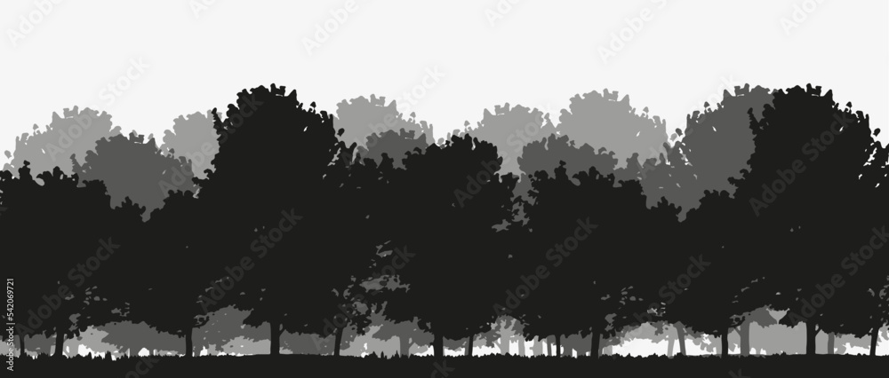 Spruce treeline silhouette landscape. Pine tree silhouette landscape ...