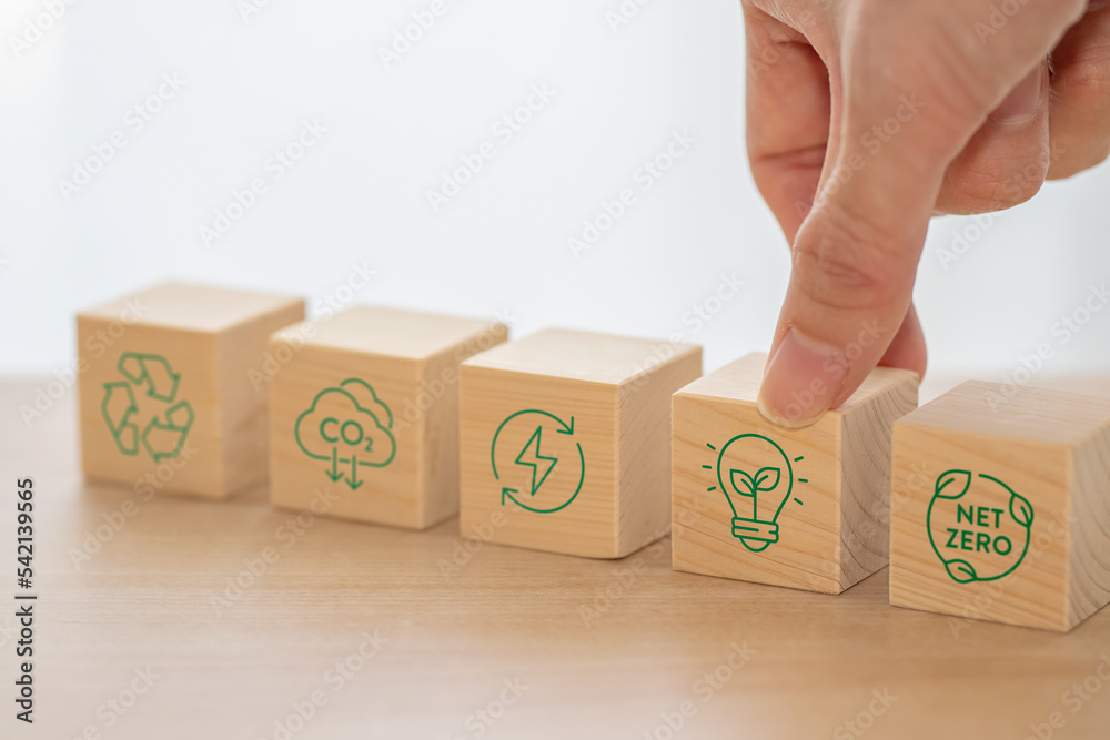 Conceptual Image of Green Growth Strategy Through Achieving Carbon ...