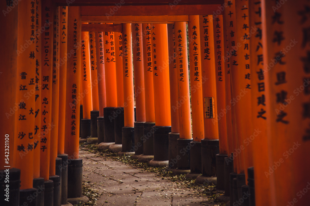 Photo Stock Orange gates of Thousands Torii Gate Shinto shrine | Adobe ...