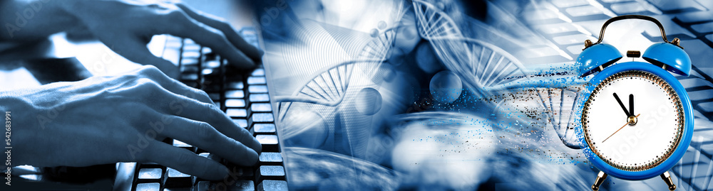 hands on the keys of a computer keyboard, which merges with the ...