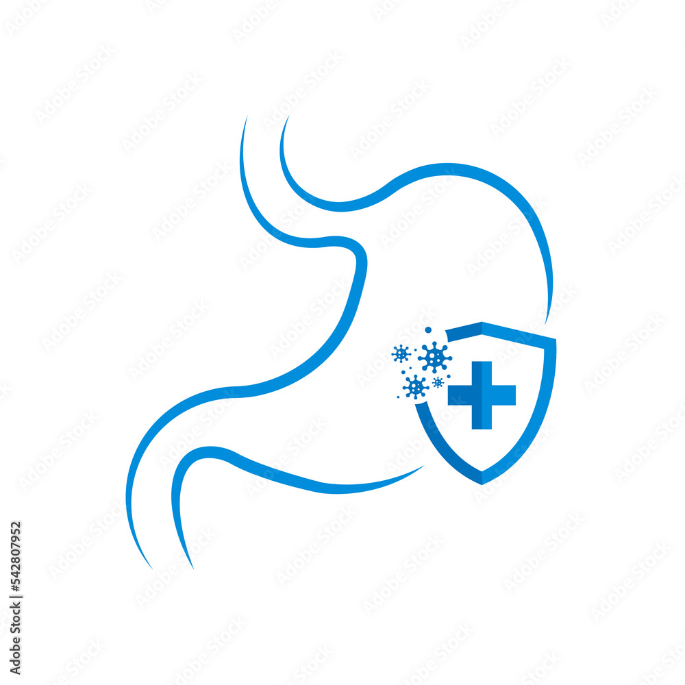 Shield and stomach. Stomach protection. Healthy preserved intestine ...