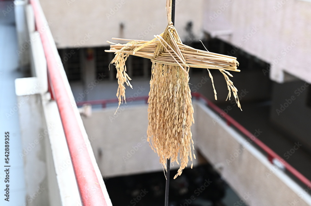 Dhaan stock photos, Bali, Rice Terraces, Landscape, Rice, dhan ki bali ...