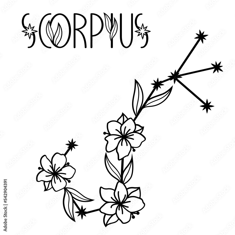 Stock-Vektorgrafik „Scorpius zodiac sign svg, Floral constellation svg ...