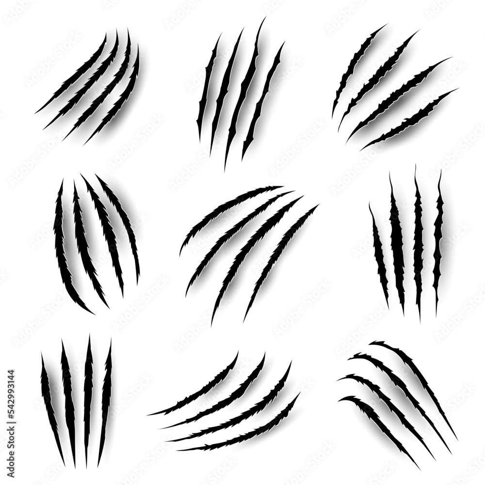 Vector de Stock Bear and tiger claw mark scratches. Monster animal ...