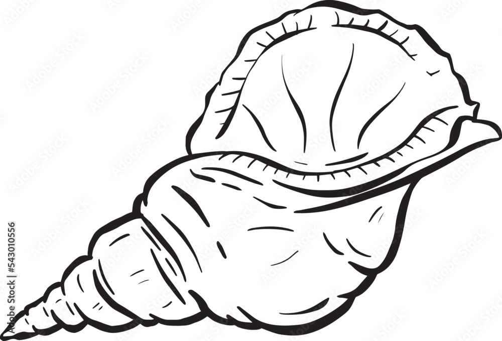 Conch Sea Snail Shell Outline Cartoon Style Logo Design in Vector Stock ...