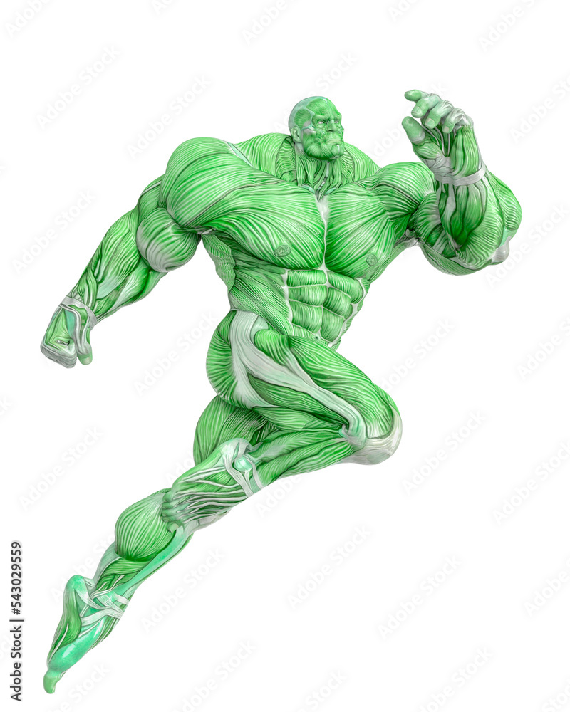 muscle maps of a strong man running Stock Illustration | Adobe Stock