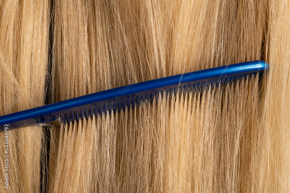 Macro shot of combing blond smooth female hair. Detail view of a blue ...