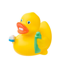 Duck Cutout Image Free Stock Photo - Public Domain Pictures