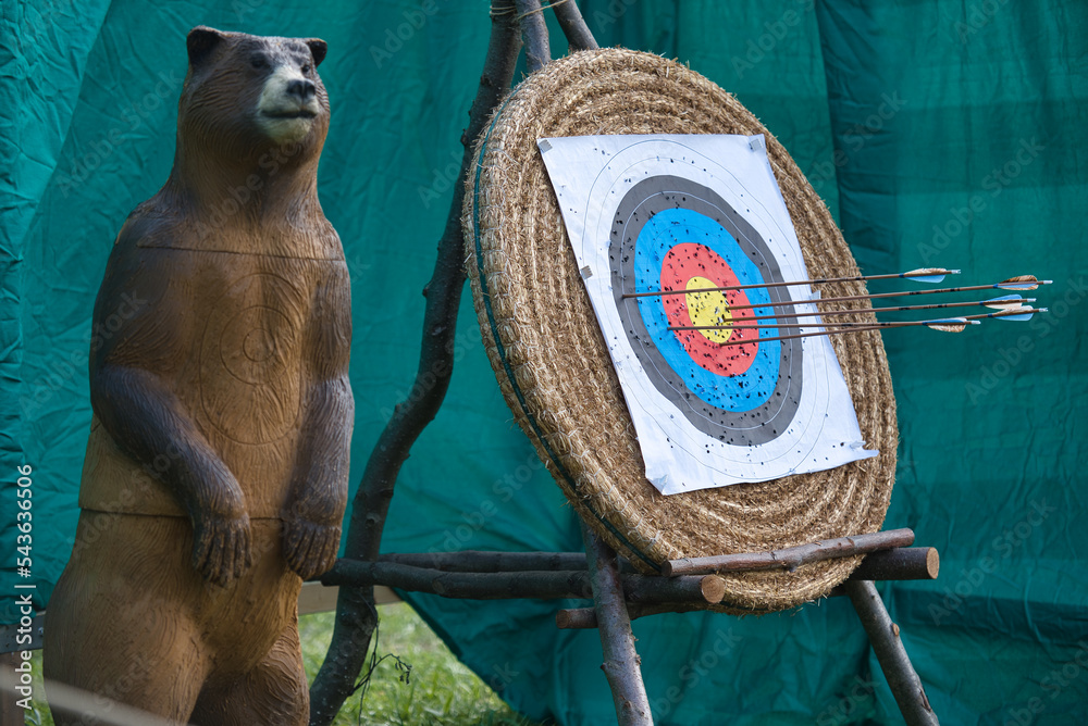 Shooting range for archery with target and dummy bear at a medieval ...