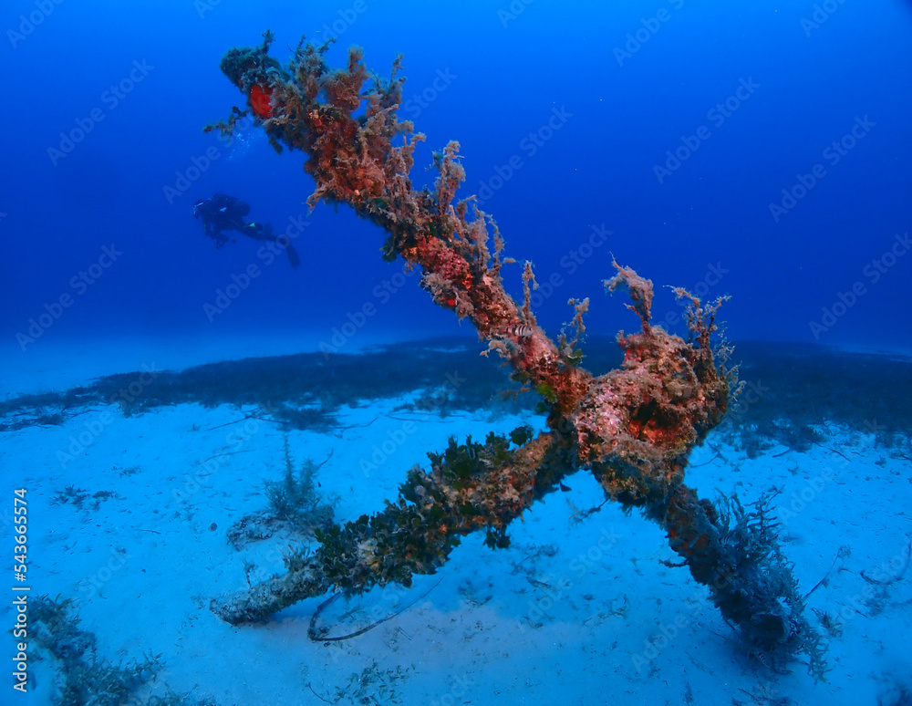 Scuba Diving and Underwater Photography Malta - Wrecks Reefs Marine ...