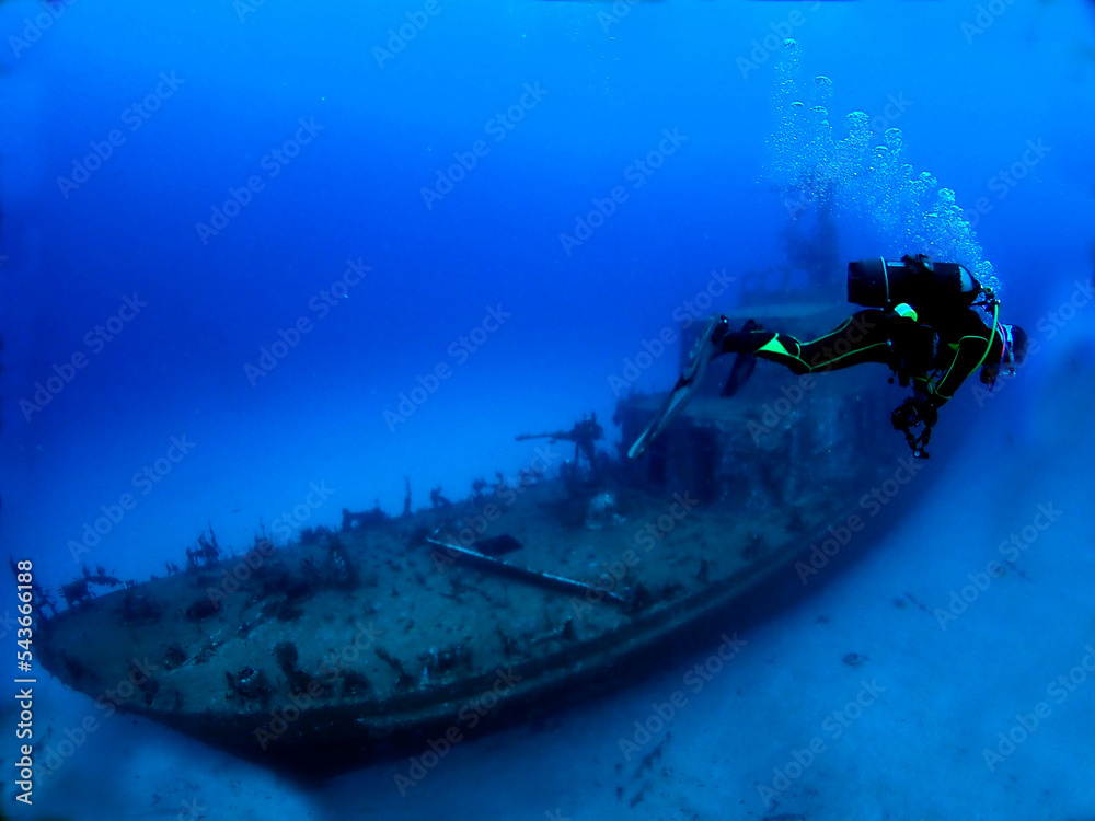 Scuba Diving and Underwater Photography Malta - Wrecks Reefs Marine ...