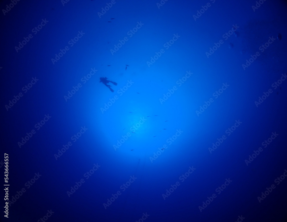 Scuba Diving and Underwater Photography Malta - Wrecks Reefs Marine ...