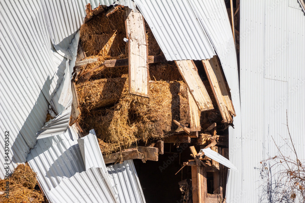 Close up view of straw bales bursting out of the loft of an old barn in ...