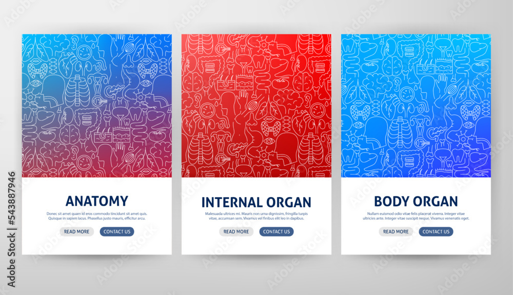 Anatomy Flyer Concepts. Vector Illustration of Outline Design. Stock ...