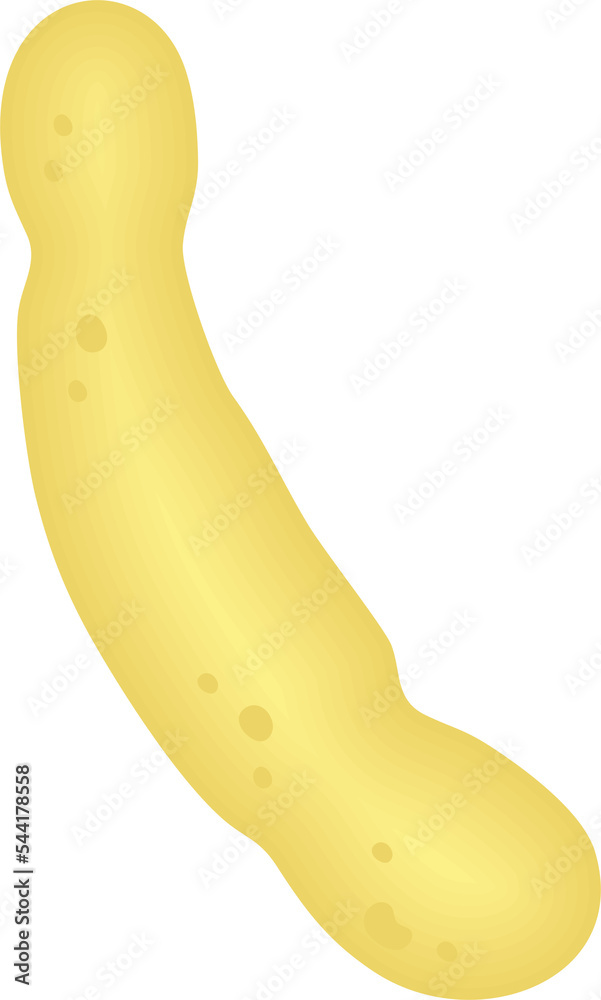 Microbiome illustration of bacteria. Vector image. Gastroenterologist ...