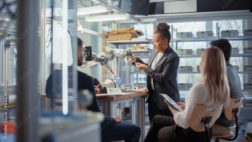 Computer Science Specialists Listen to Black Mentor While Working ...