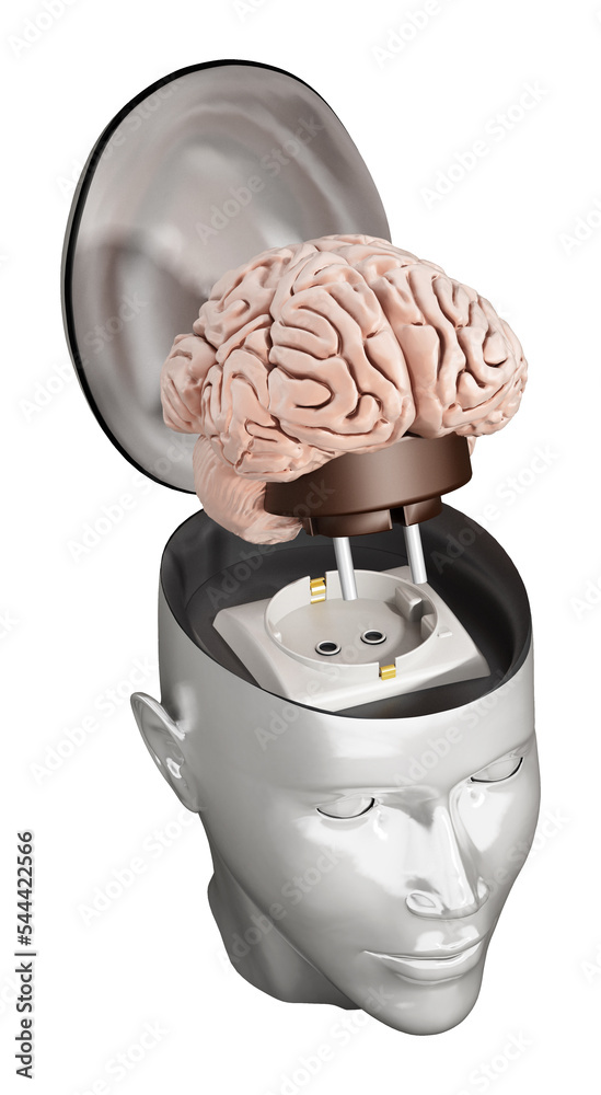 Human brain plug on transparent background. Stock Illustration | Adobe ...
