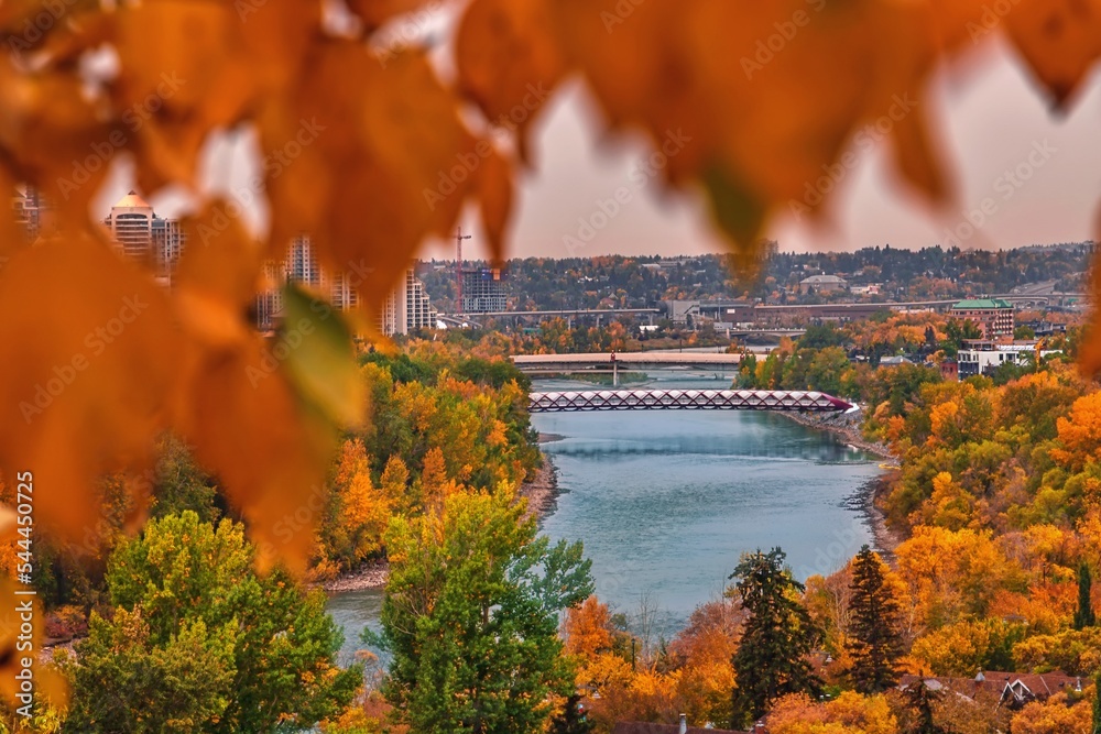 Fall Leaves Framing The Calgary River Valley Stock Photo | Adobe Stock