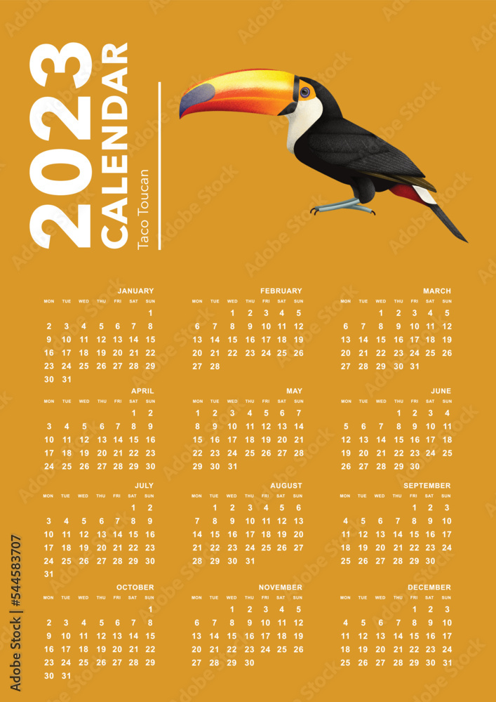 Calendar 2023, Bird Calendar , Taco Toucan illustration design week ...