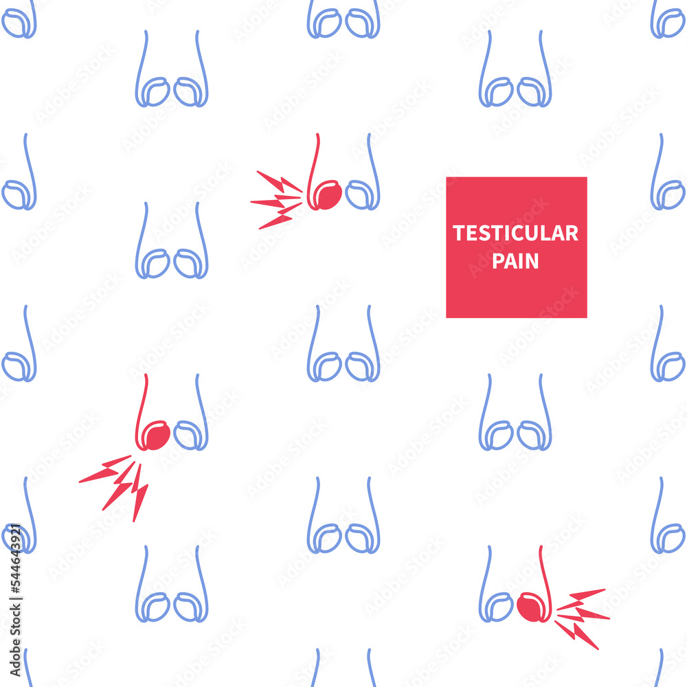 Testicular pain awareness. Testes pattern. Testicles anatomy diagram ...