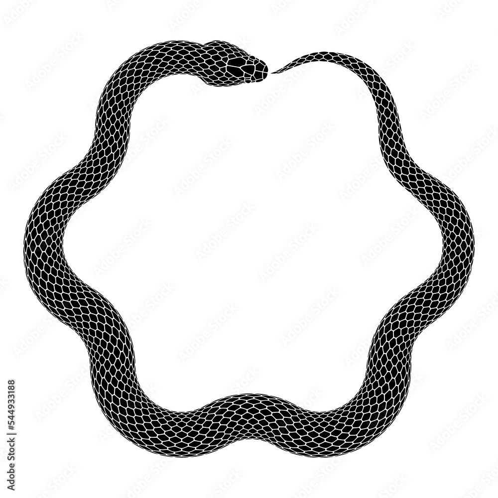 Vector tattoo design of snake bites its tail in the form of hexagon ...