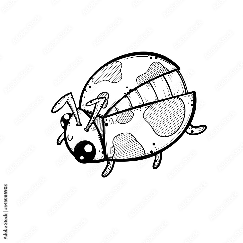 cute ladybug line drawing cartoon illustration Stock Illustration ...