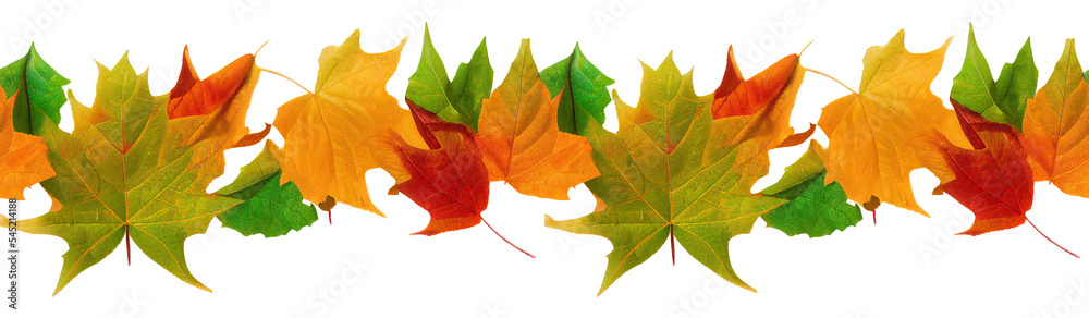 Autumn seamless transparent background with long horizontal border made ...