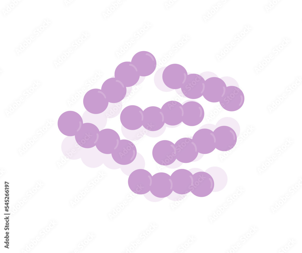 Bacteria Streptococcus, Streptococcus pneumoniae or pneumococcus ...